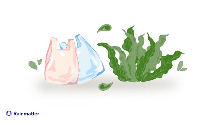 Zerocircle - replacing plastic with seaweed – Z-Connect by Zerodha